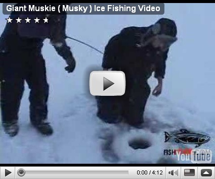 Angler For Ever. How To Catch Big Fish? Watch Online Good Free Video ...